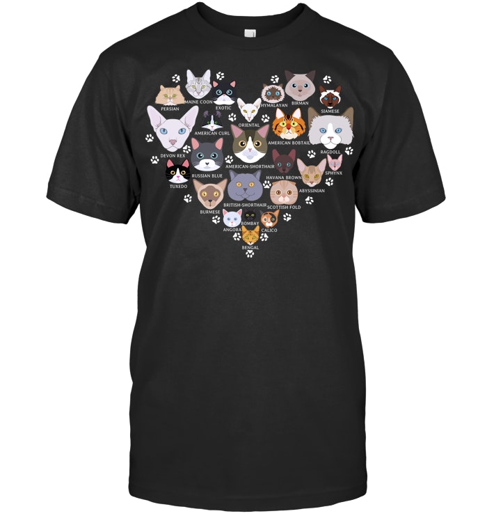Cat Types Cat Types